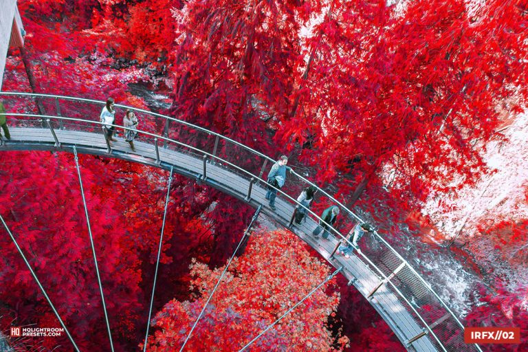 IRFX | Infrared (Aerochrome) Faux Color Lightroom Presets — HQ ...