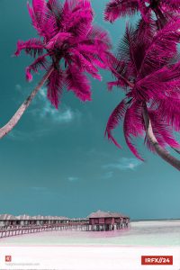 IRFX | Infrared (Aerochrome) Faux Color Lightroom Presets — HQ ...