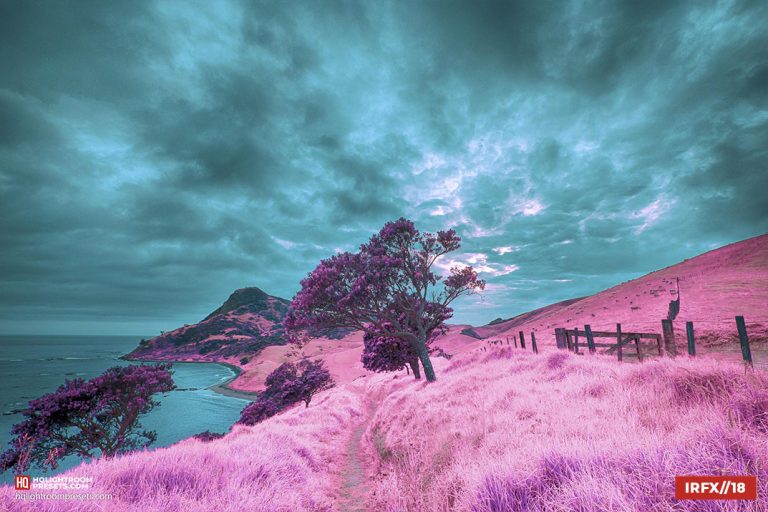 IRFX | Infrared (Aerochrome) Faux Color Lightroom Presets — HQ ...