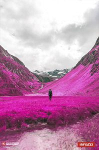 IRFX | Infrared (Aerochrome) Faux Color Lightroom Presets — HQ ...