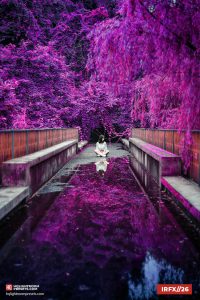 IRFX | Infrared (Aerochrome) Faux Color Lightroom Presets — HQ ...